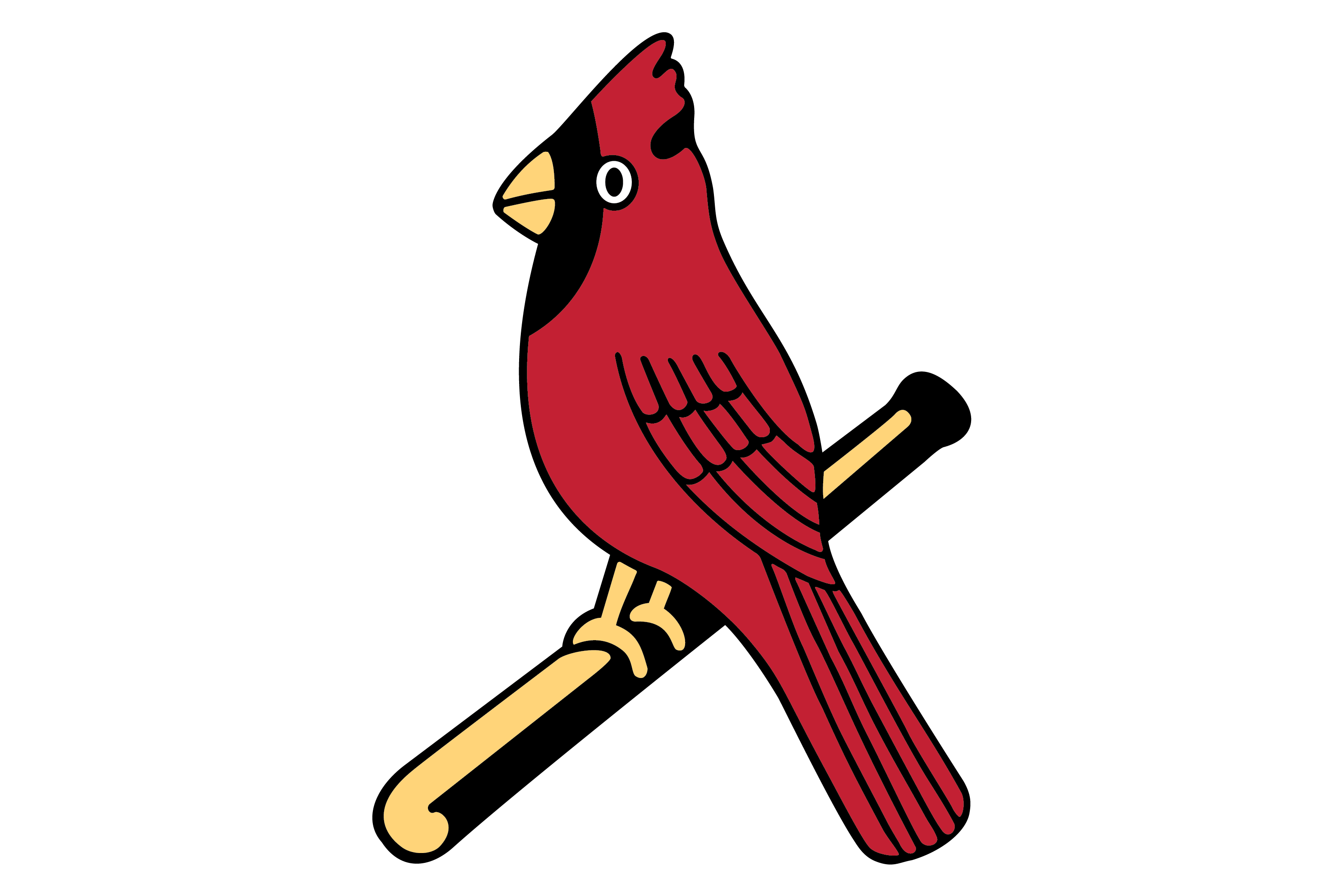 Single Birds – Cardinals Uniforms & Logos