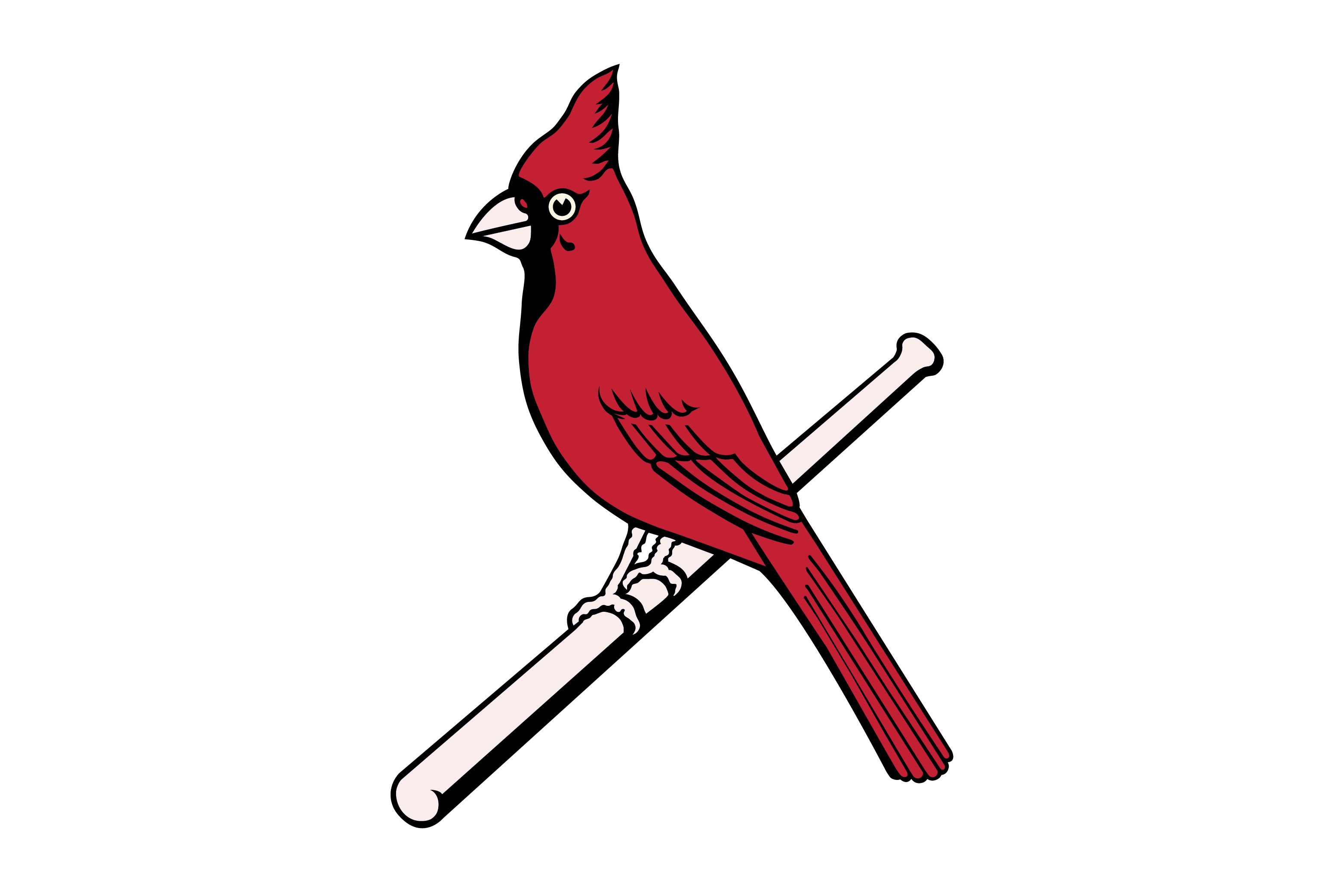 Print Graphics – Cardinals Uniforms & Logos