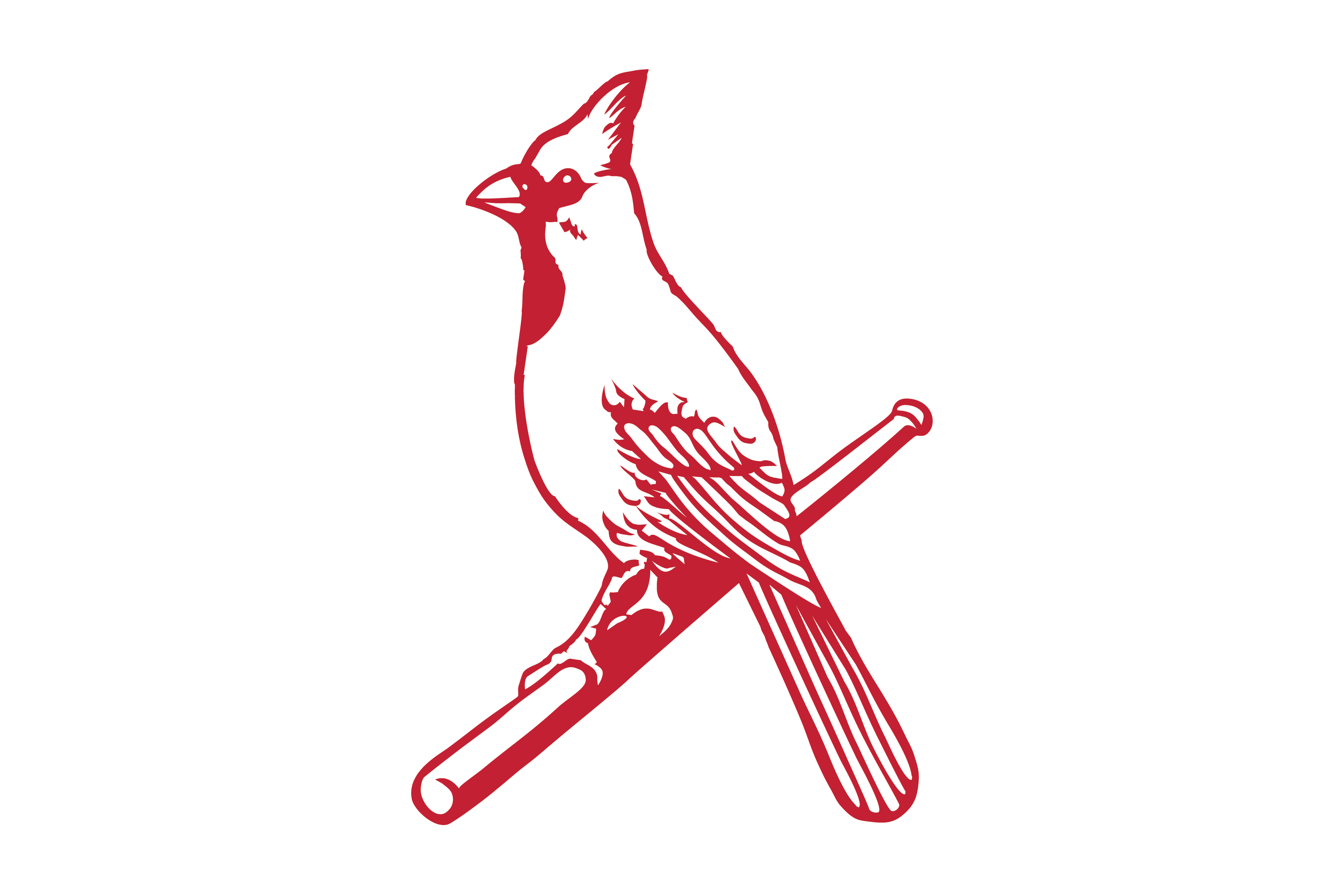 Print Graphics – Cardinals Uniforms & Logos