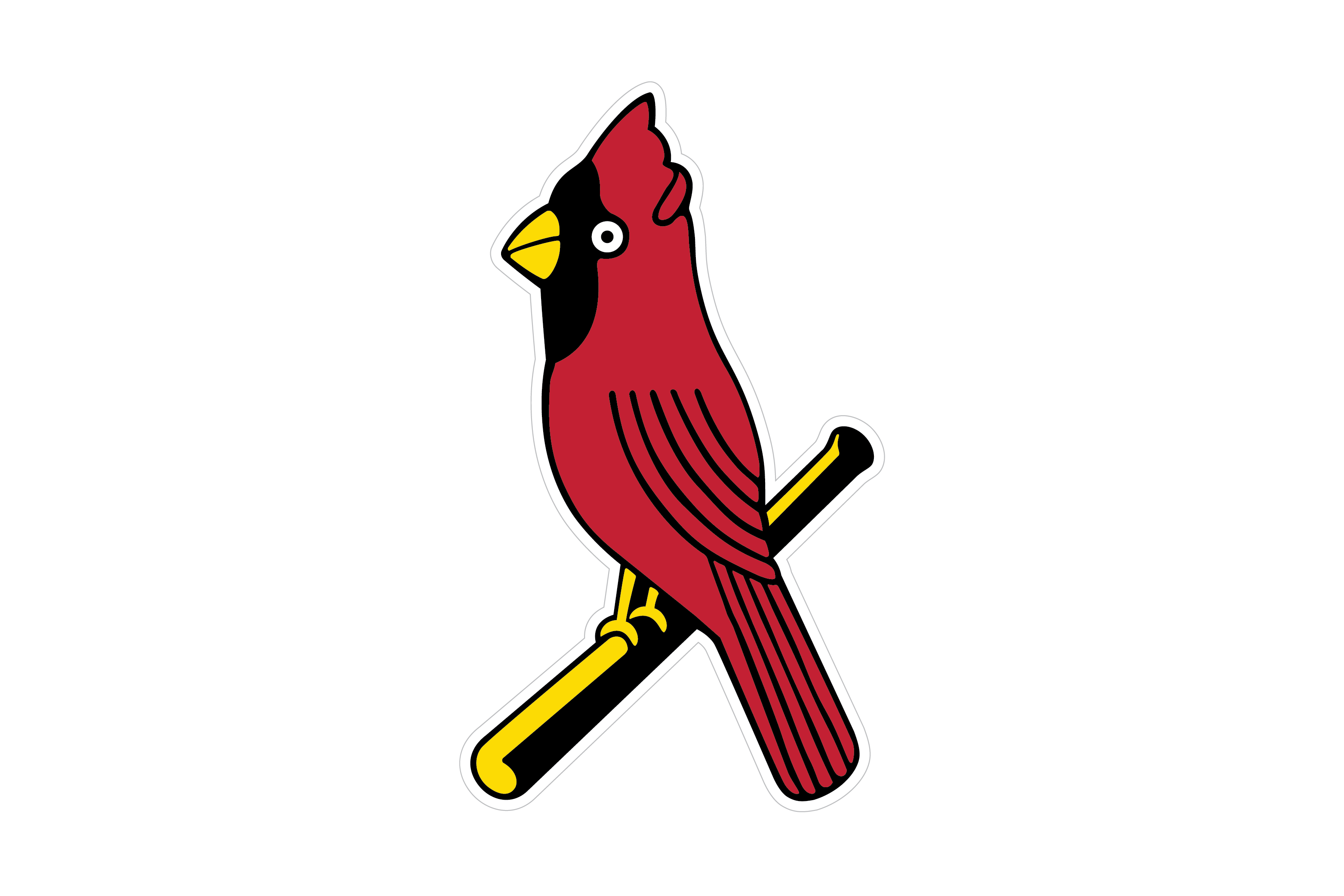 Single Birds – Cardinals Uniforms & Logos
