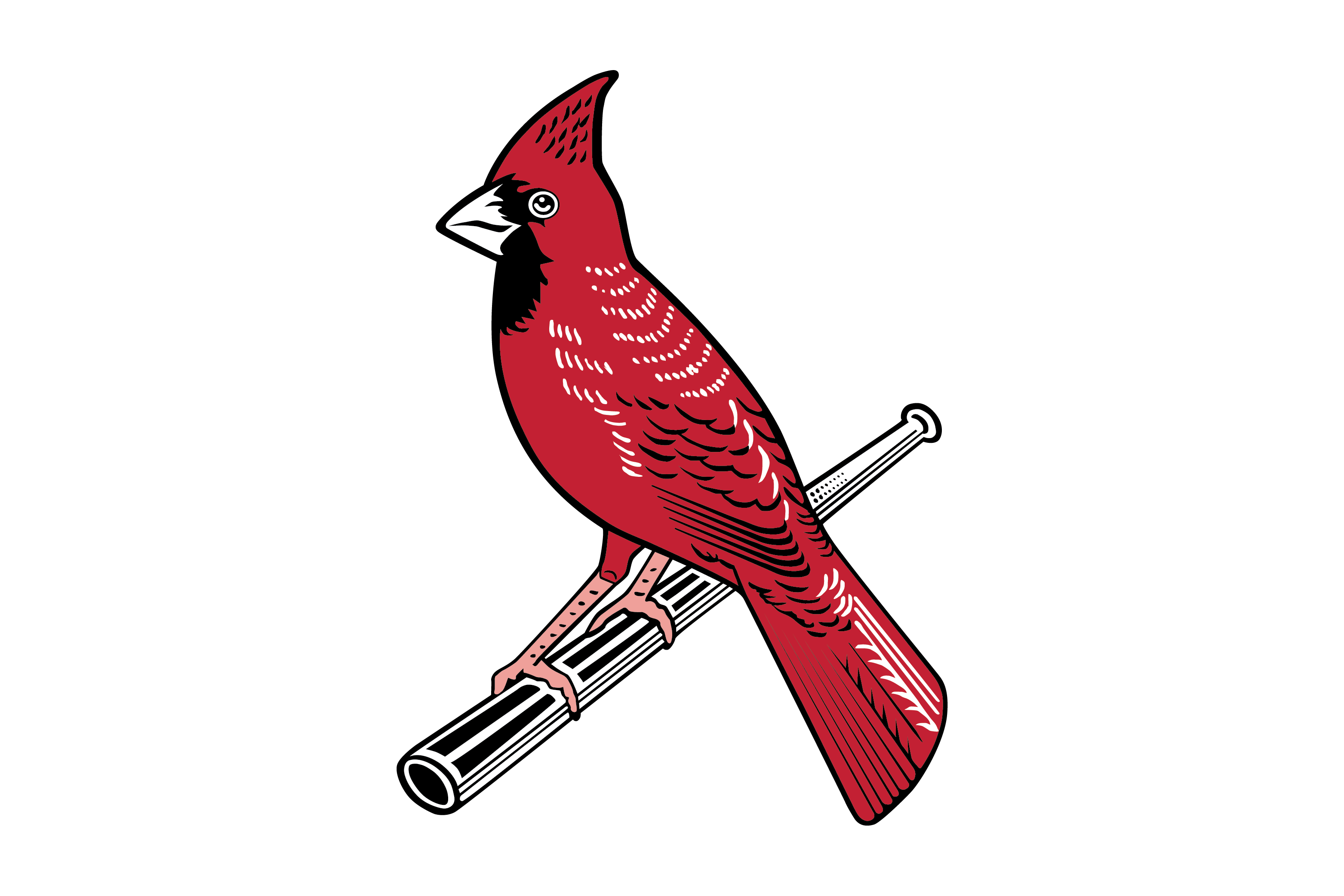 Print Graphics – Cardinals Uniforms & Logos