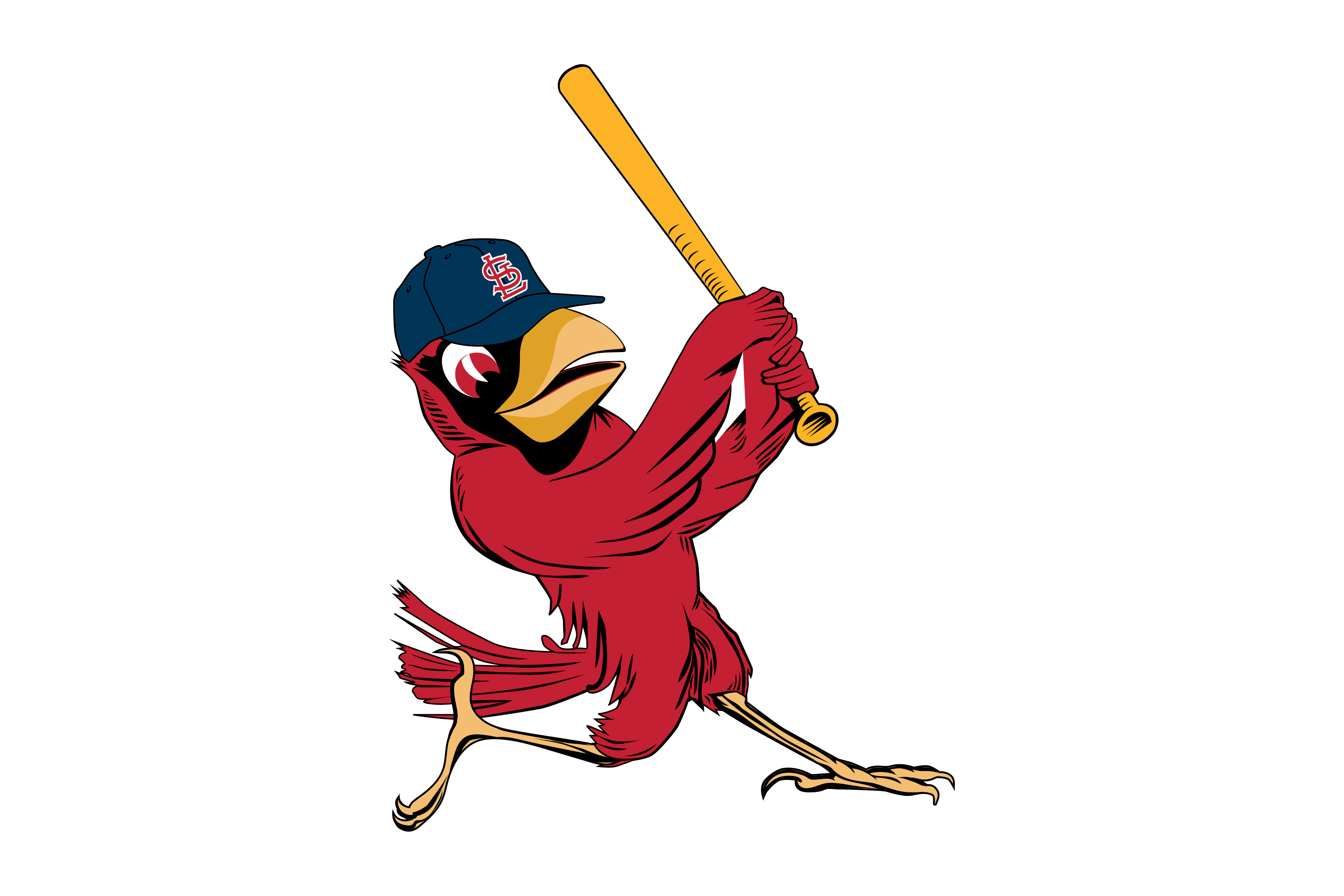 Action Birds – Cardinals Uniforms & Logos