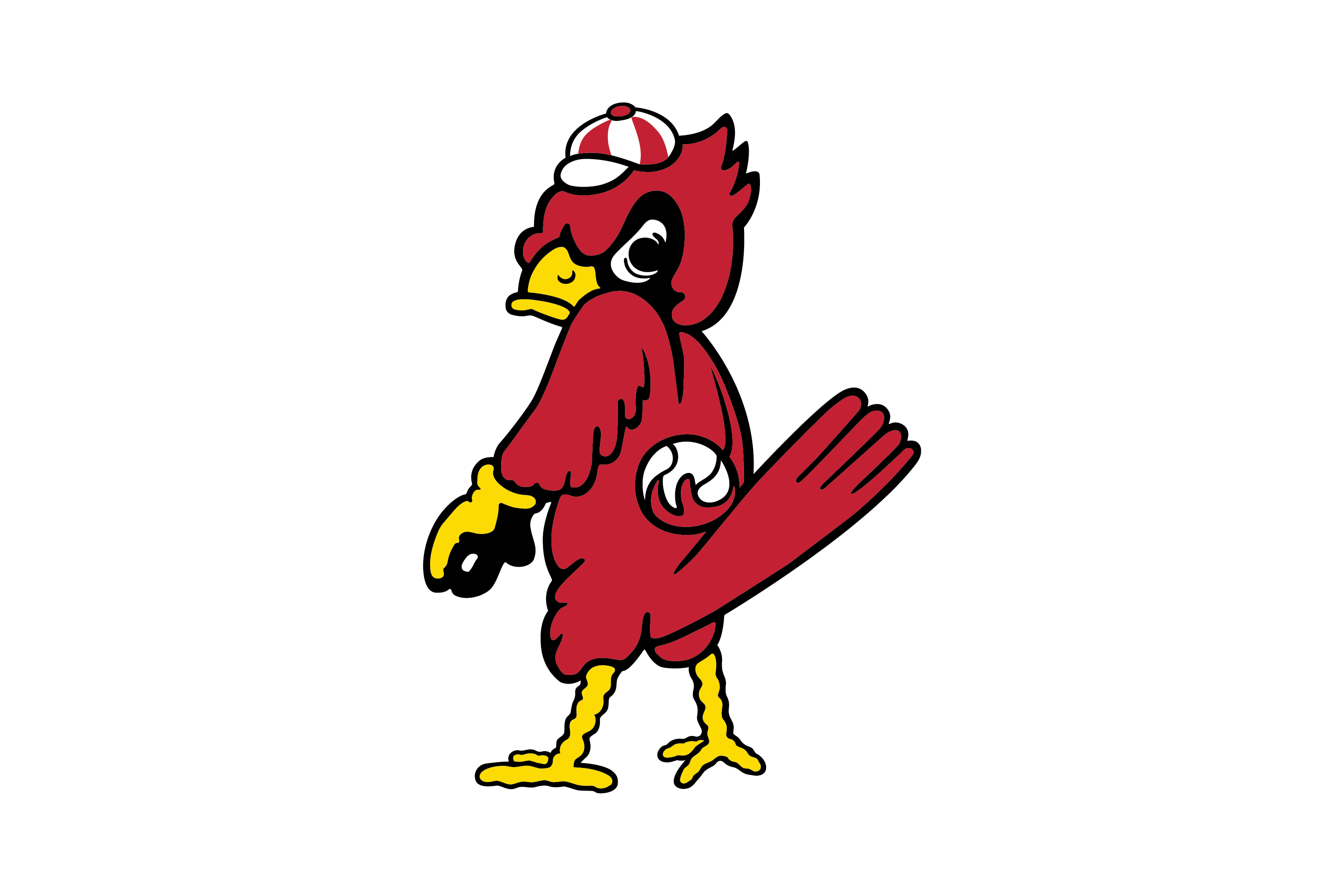 Action Birds – Cardinals Uniforms & Logos