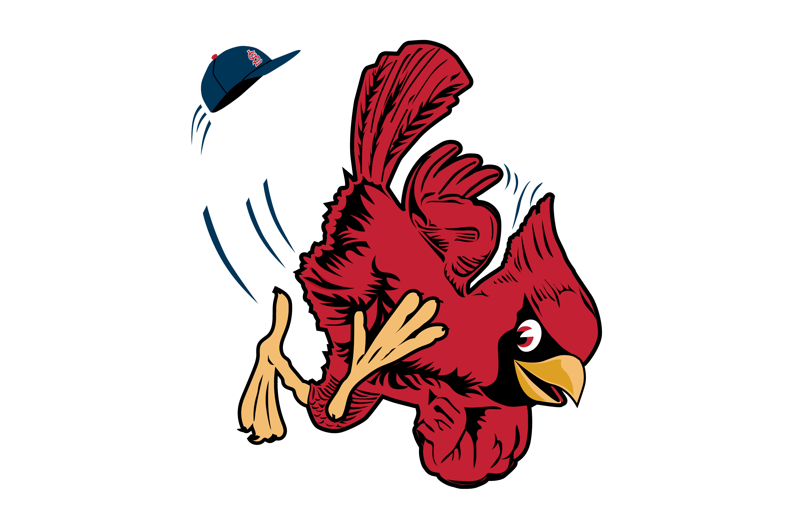 Action Birds – Cardinals Uniforms & Logos