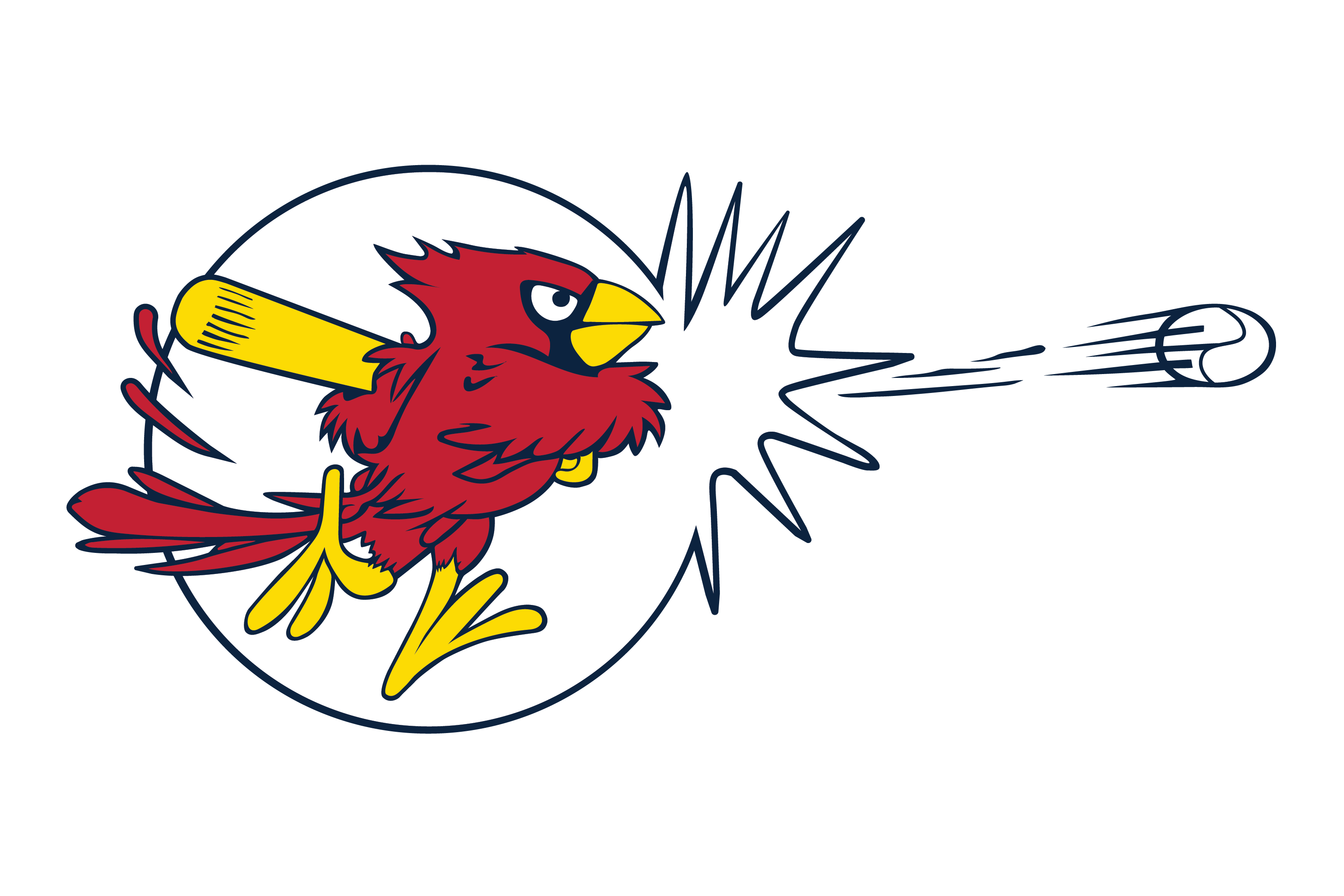 Action Birds – Cardinals Uniforms & Logos